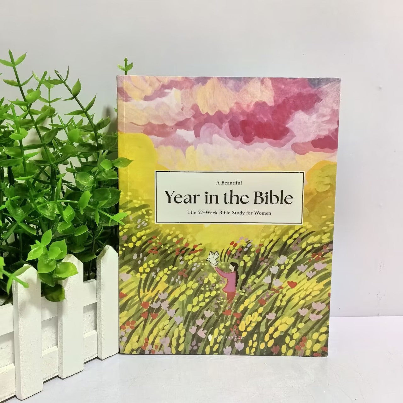 A Beautiful Year in The Bible – Lullory